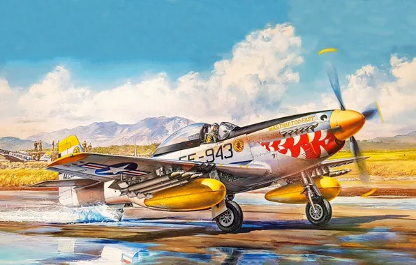Wallpaper USAF, P-51D Mustang, piston fighter, F-51D Mustang for mobile ...