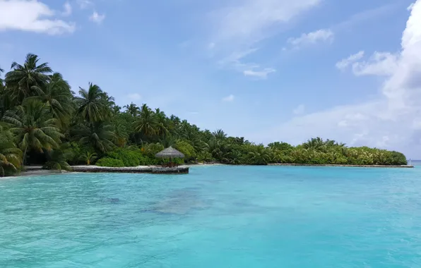 Wallpaper the sky, tropics, palm trees, the ocean, island, white sand ...