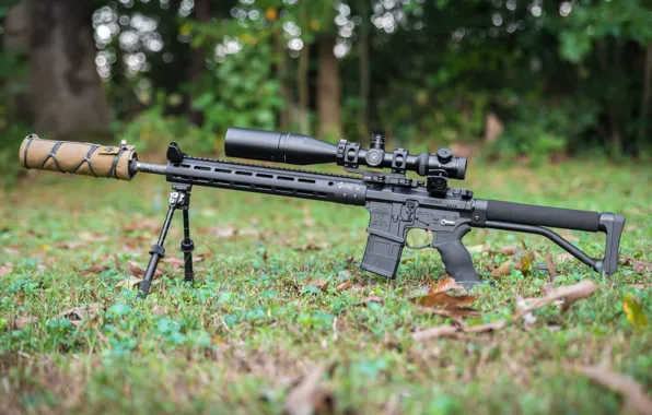 Download wallpaper weapons, rifle, weapon, custom, M16, ar-15, assault ...