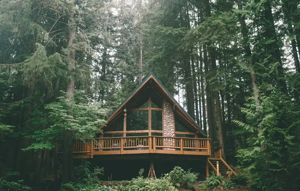 Wallpaper forest, nature, building for mobile and desktop, section ...