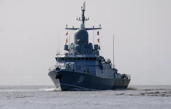 Download wallpaper Odintsovo, small missile ship, cipher Karakurt ...