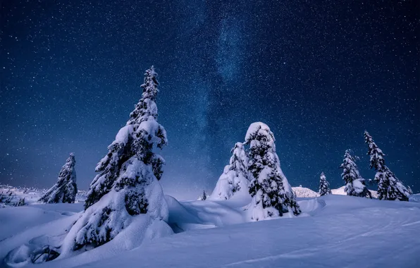 Winter Night Desktop Backgrounds