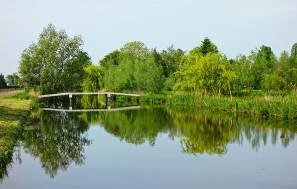 Wallpaper summer, trees, bridge, nature, river for mobile and desktop ...