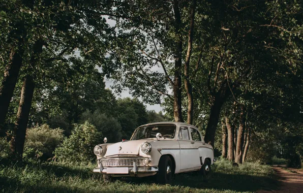 Download wallpaper Car, Nature, Trees, Old Car, Oldtimer, Artur ...