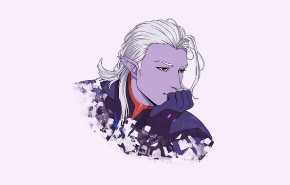 Download wallpaper elf, portrait, guy, section art in resolution 800x600