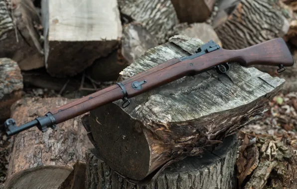 Wallpaper background, rifle, P14 Enfield for mobile and desktop ...