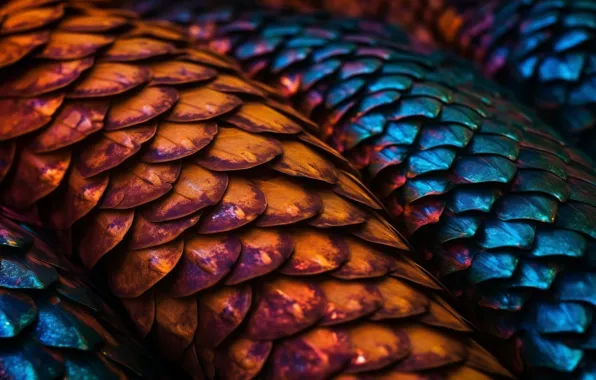 Download wallpaper lights, dragon, texture, scales, tide, dragon scales ...