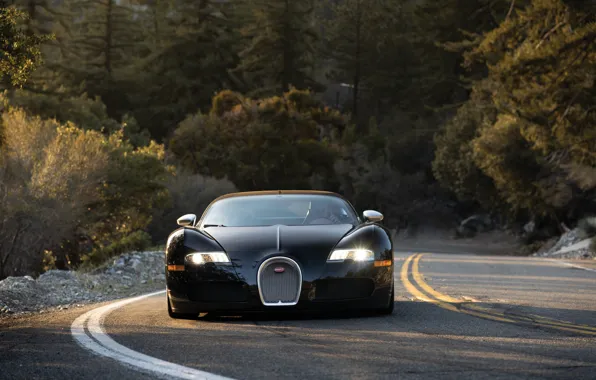 Wallpaper Bugatti, Veyron, Bugatti Veyron, front, 16.4, headlights ...