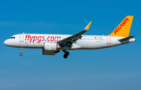 Download wallpaper Airbus, Pegasus, A320-200N, section aviation in ...