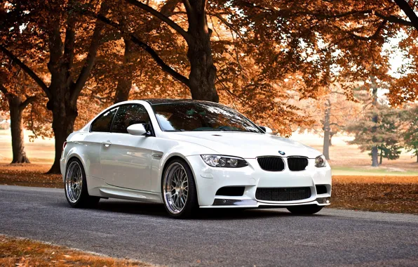 Wallpaper autumn, trees, bmw m3 images for desktop, section bmw - download