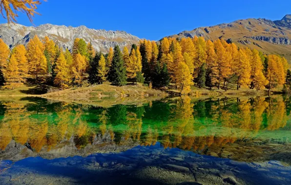 Wallpaper autumn, landscape, nature for mobile and desktop, section ...