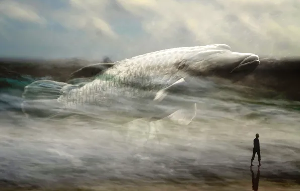 Download wallpaper sea, people, fish, section situations in resolution ...
