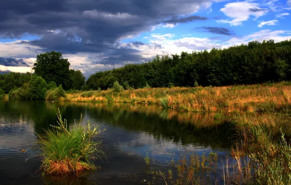 Wallpaper the sky, clouds, trees, nature, river for mobile and desktop ...
