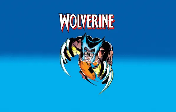 Download wallpaper claws, Wolverine, Logan, Wolverine, Logan, marvel ...