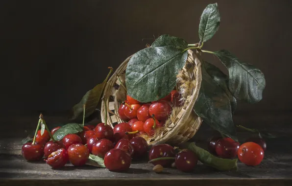 Wallpaper leaves, cherry, berries, still life, network, cherry for ...