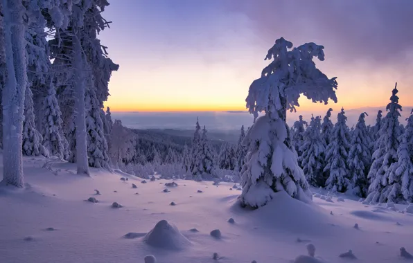 Wallpaper winter, snow, nature images for desktop, section природа ...