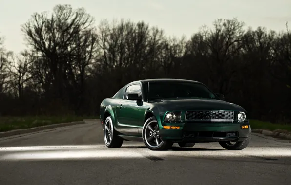 Wallpaper Mustang, Road, Trees, Bullitt for mobile and desktop, section ...
