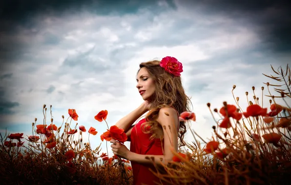 Wallpaper girl, flowers, nature for mobile and desktop, section девушки ...