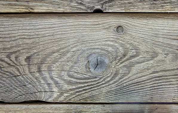 Download wallpaper color, wood, texture, section textures in resolution ...