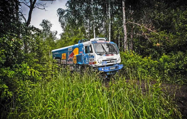 Wallpaper Grass, Trees, Sport, Speed, Race, Master, Dirt, Birch, Russia ...