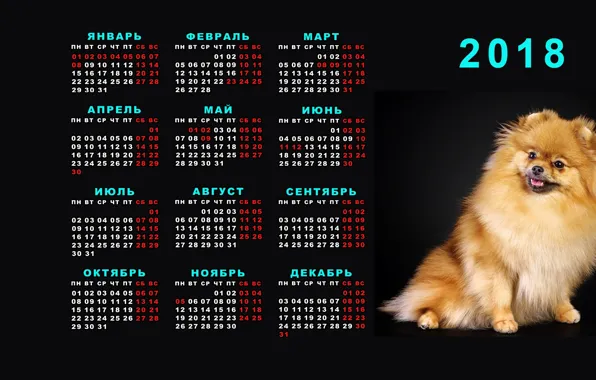 Wallpaper new year, calendar, 2018, Spitz for mobile and desktop, section новый год, resolution ...