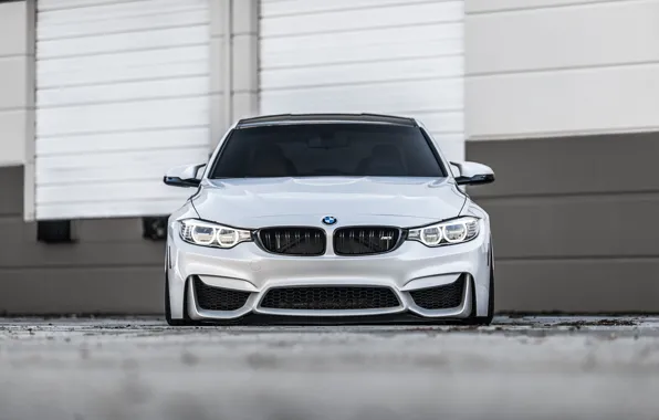 Wallpaper BMW, Front, Face, Silver, F82, Sight images for desktop ...