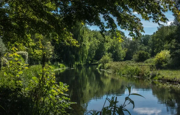 Wallpaper trees, nature, river for mobile and desktop, section пейзажи ...