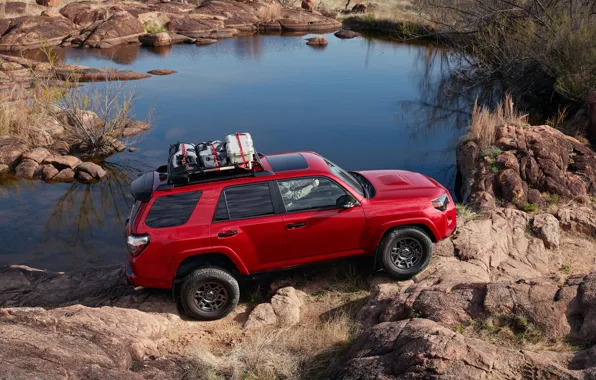 Wallpaper auto, photo, Toyota, SUV, 2020, 4Runner, Venture Edition for ...