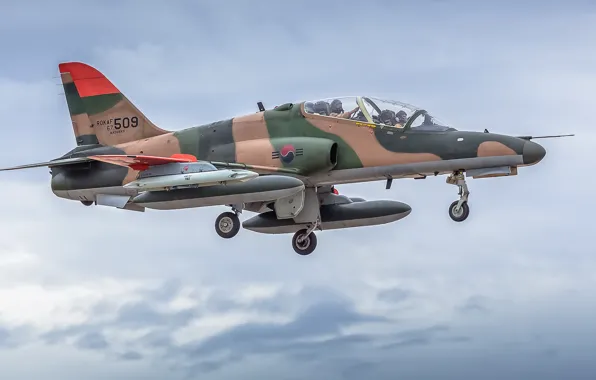 Wallpaper Military Aviation, BAE Systems Hawk MK 67, Air USA images for ...