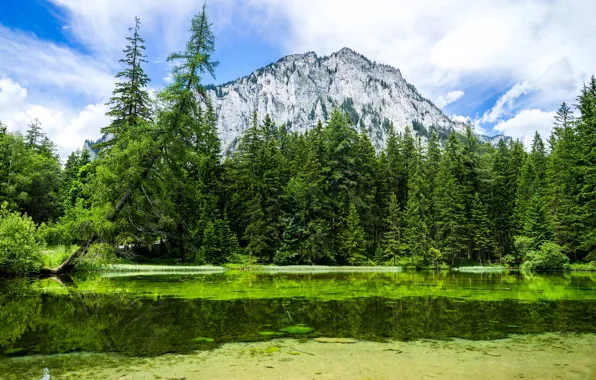 Wallpaper landscape, nature, beauty for mobile and desktop, section ...