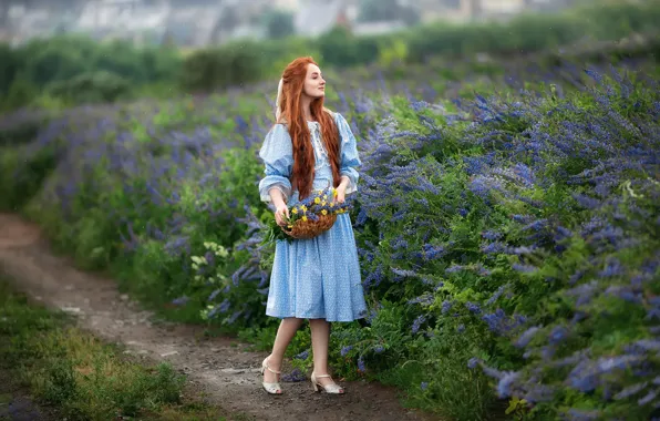 Wallpaper Field Summer Look Girl Flowers Pose Photo Dress For