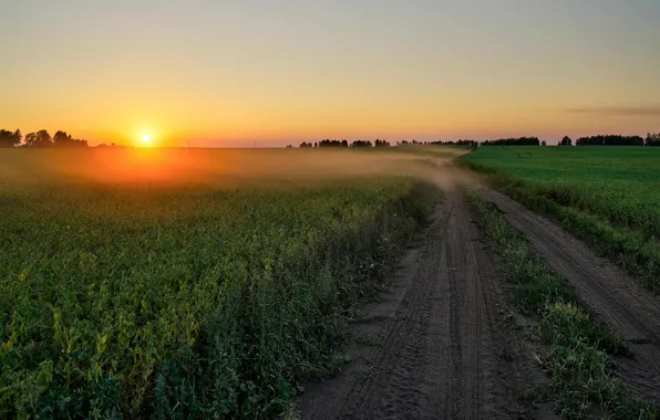 Wallpaper field, summer, the sky, sunset, nature, the evening, Morozoff ...