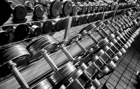 Wallpaper Fitness, Gym, Dumbells for mobile and desktop, section спорт ...