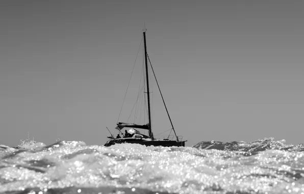 Wallpaper sea, sailing, catamaran for mobile and desktop, section ...