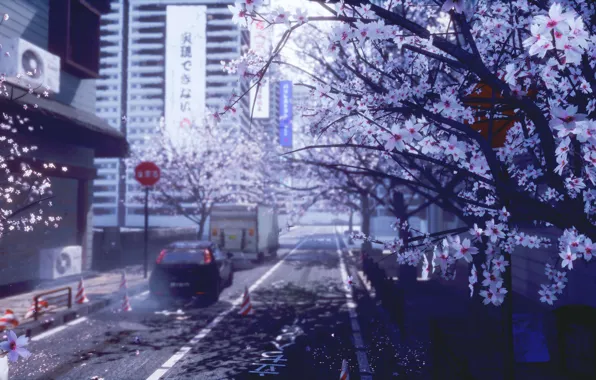 Wallpaper auto, the city, spring, Sakura for mobile and desktop ...