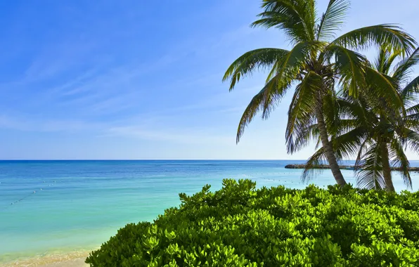 Jamaica Desktop Backgrounds