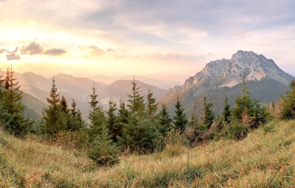Download wallpaper Mountains, Panorama, View, Dawn, Valley, Slovakia ...