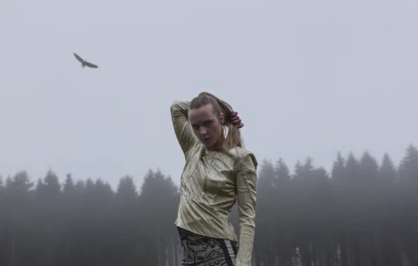 Wallpaper forest, look, fog, eagle, singer, electronic music, model ...
