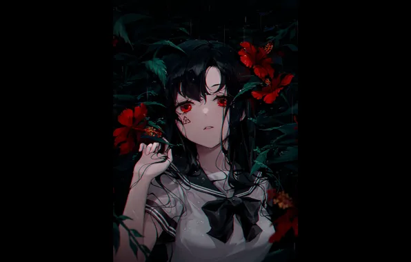 Wallpaper flowers, rain, foliage, wet, camera, rain, rec, Chan, Tyanka ...