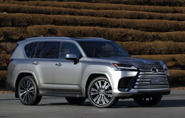 Wallpaper Lexus, SUV, exterior, LX 600 for mobile and desktop, section ...