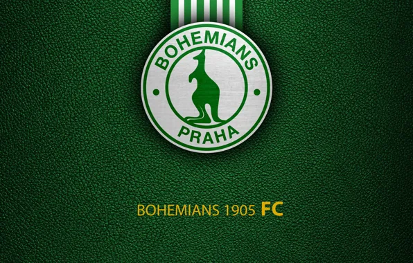Bohemians Logo