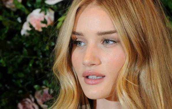 Wallpaper blonde, face, rosie huntington, rosie huntington whiteley ...