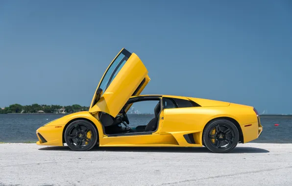 Wallpaper Lamborghini, supercar, yellow, Lamborghini Murcielago ...