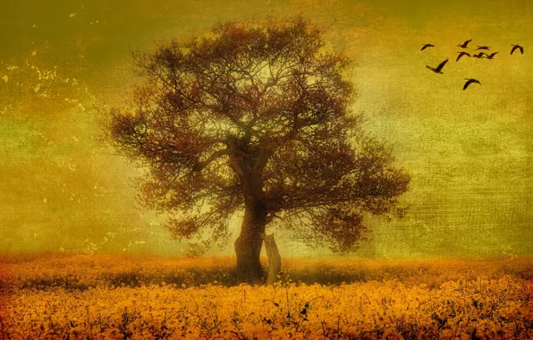 Wallpaper landscape, style, background, tree for mobile and desktop ...