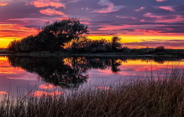 Wallpaper trees, sunset, lake, reflection, Washington, Washington State ...