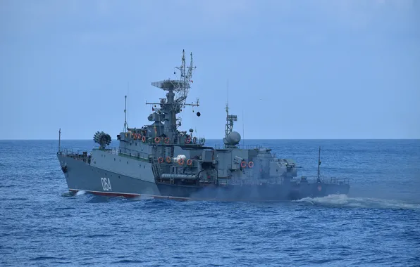 Wallpaper Navy, The black sea, MPK, Muromets, project 1124m for mobile ...