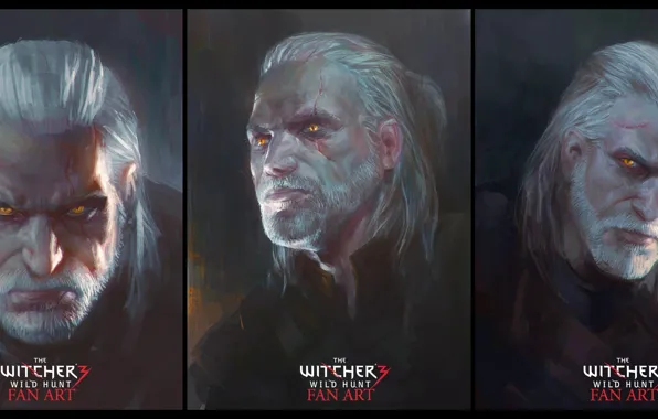 Wallpaper The Wild Hunt, Art, The Witcher, CD Projekt RED, The Witcher ...