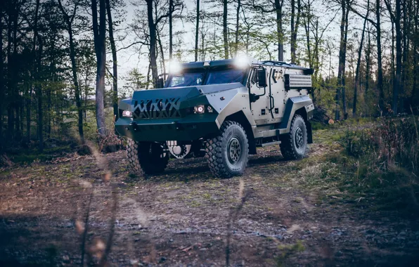 Download wallpaper Czech Republic, Czech Republic, Military equipment ...
