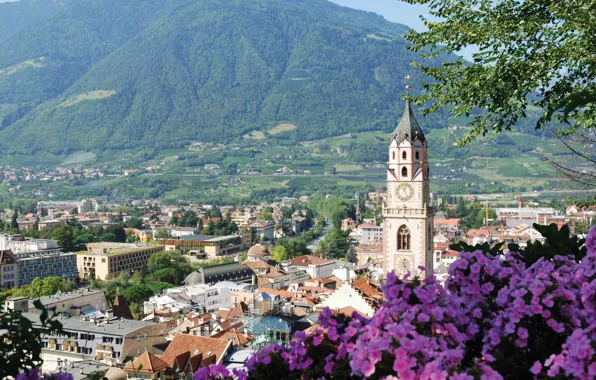 Wallpaper flowers, mountains, home, Italy, Merano, South Tyrol for ...