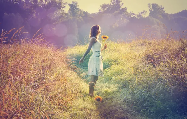 Wallpaper Field Grass Girl Light Sunflower For Mobile And Desktop